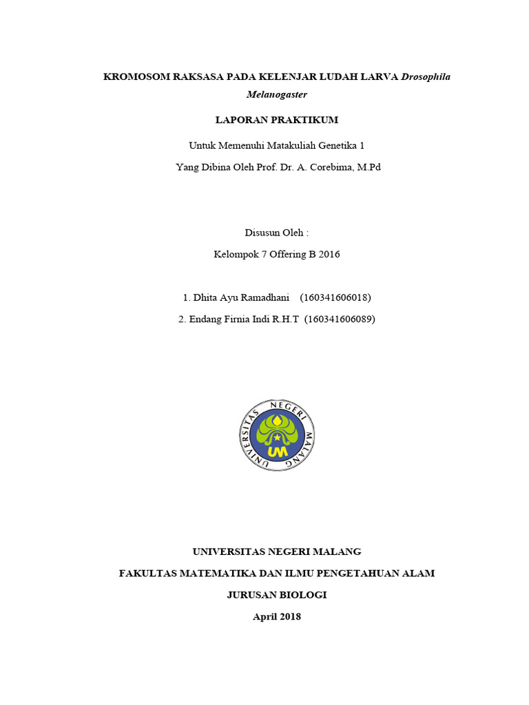 Kromosom Politen Larva Drosophila | PDF