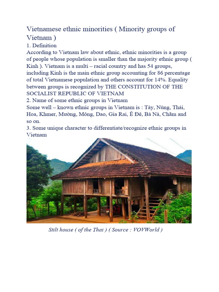 Vietnamese Ethnic Minorities | PDF | Vietnam | Minority Group