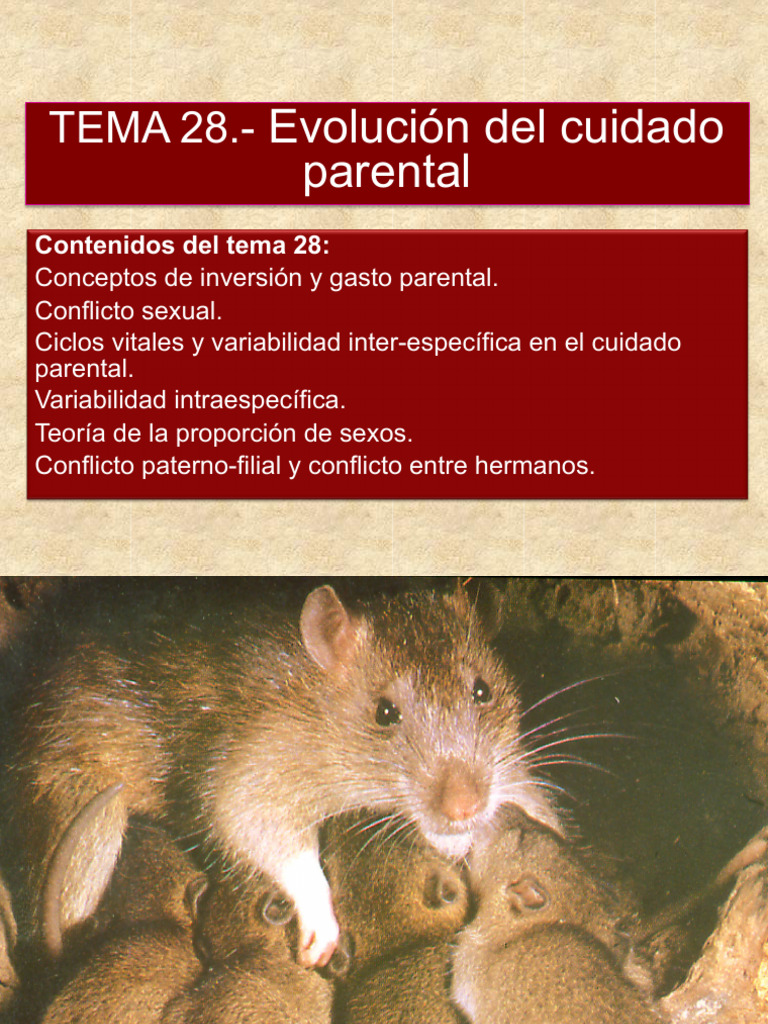 Tema 28 Evol Cuidado Parental | PDF | Hembra | Sexo