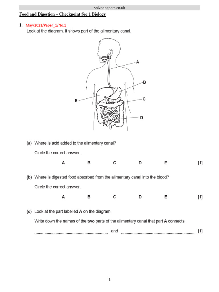 Food and Digestion Checkpoint Guide | PDF | Home & Garden | Wellness