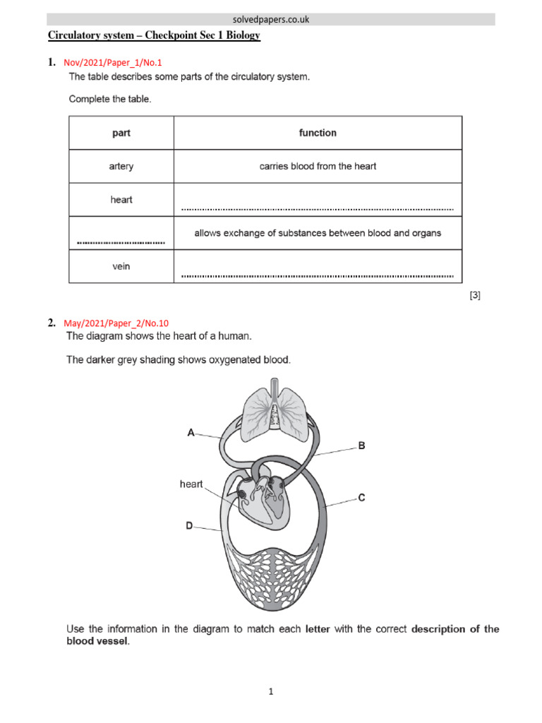 2022 17 Circulatory System Checkpoint Sec 1 Biology | PDF | Wellness