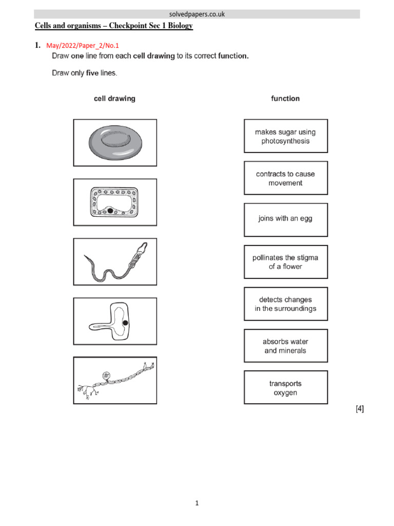 2022 17 Cells and Organisms Checkpoint Sec 1 Biology | PDF