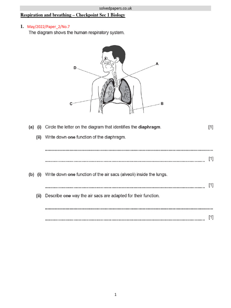 2022 17 Respiration and Breathing Checkpoint Sec 1 Biology | PDF