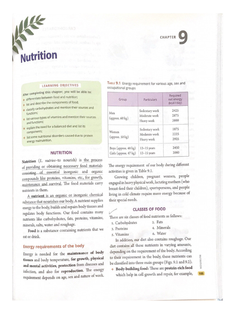 Nutrition | PDF