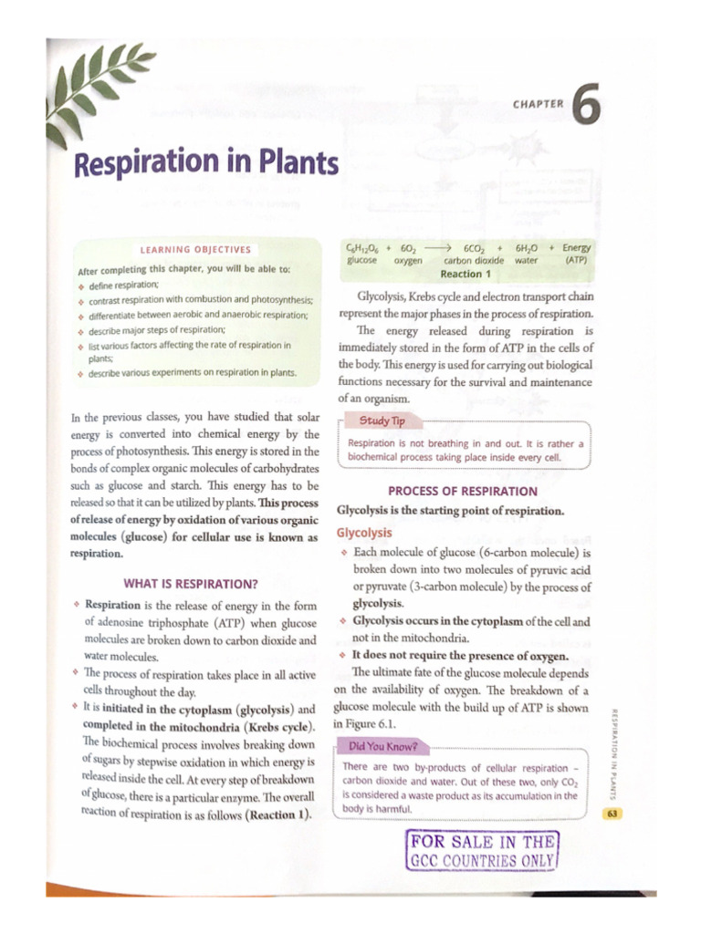 Respiration in Plants | PDF