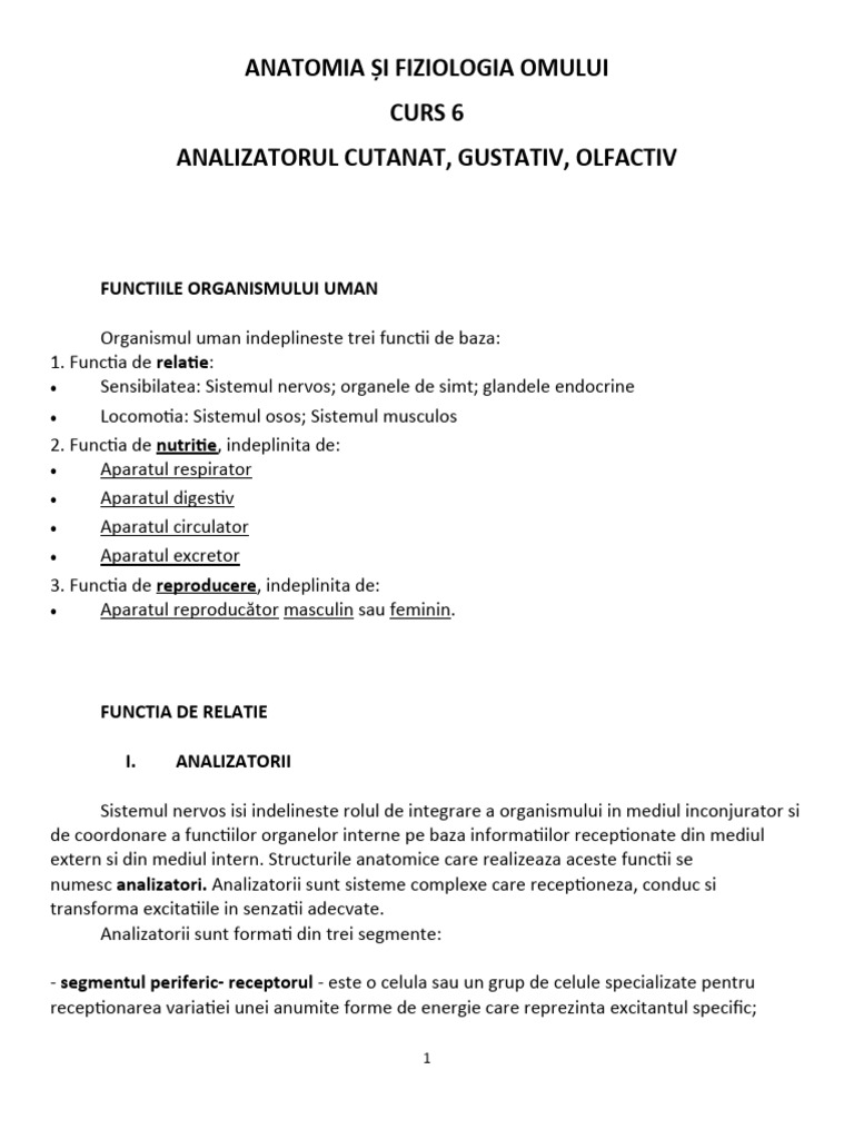 Anatomia Si Fiziologia Omului. Curs 6 - Analizatorul Cutanat, Gustativ ...