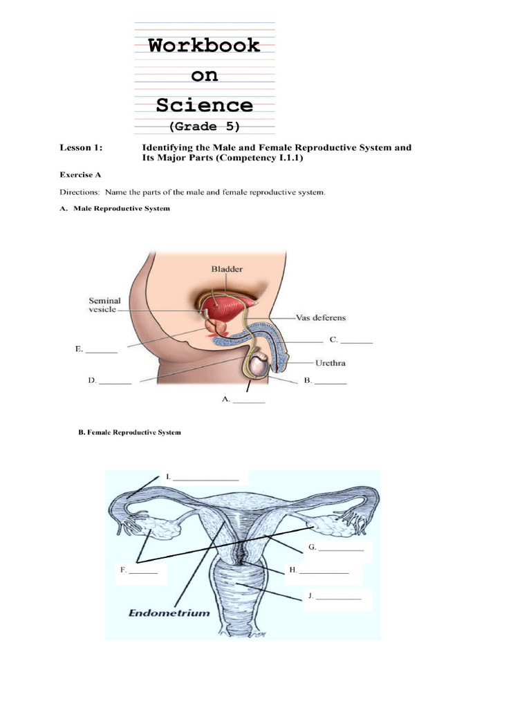Science Grade 5 | PDF