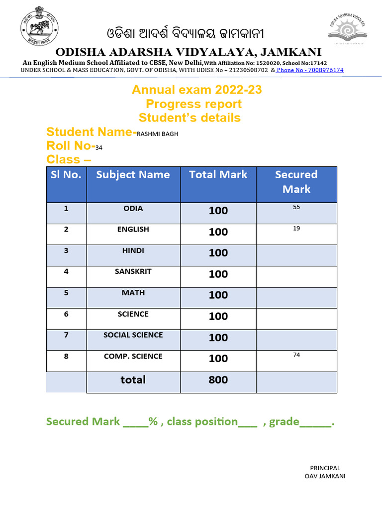Progress Report Format | PDF