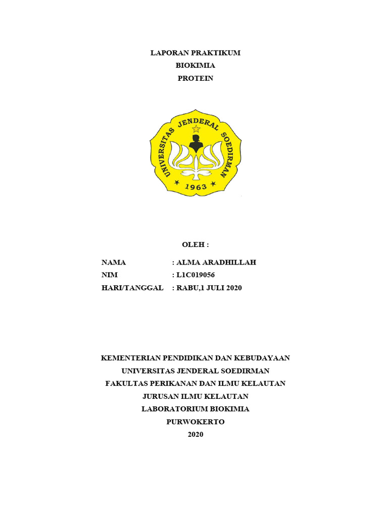 L1C019056 - Alma Aradhillah - Protein | PDF