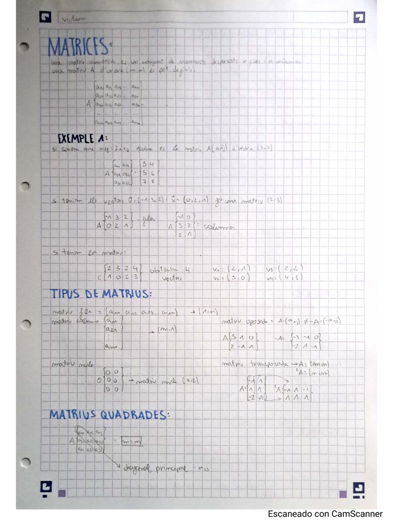 Apunts Matrius | PDF