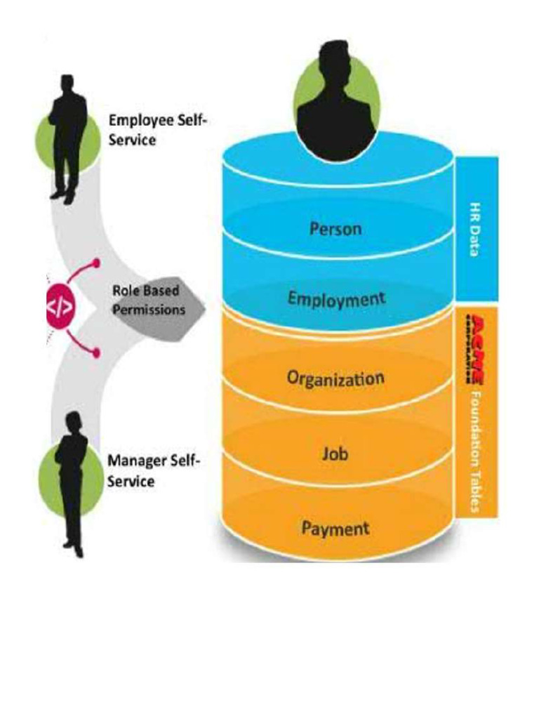 Successfactors EC - Structure | PDF