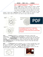 BOTANY RECORD MARCH 2025 FINAL | PDF | Botany | Plants