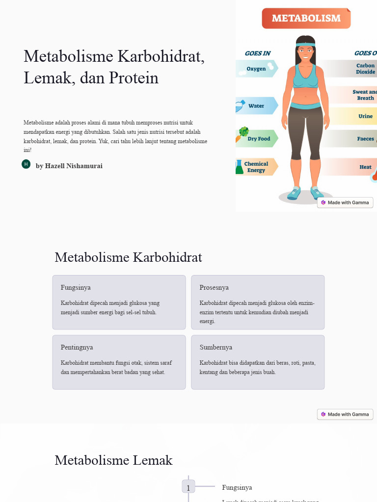 Metabolisme Karbohidrat Lemak Dan Protein | PDF | Kesehatan Holistik