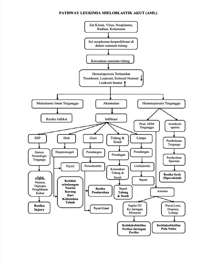 Pathway Aml | PDF