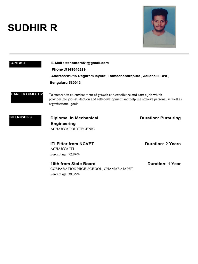Resume Template | PDF | Computer Programming | Computing