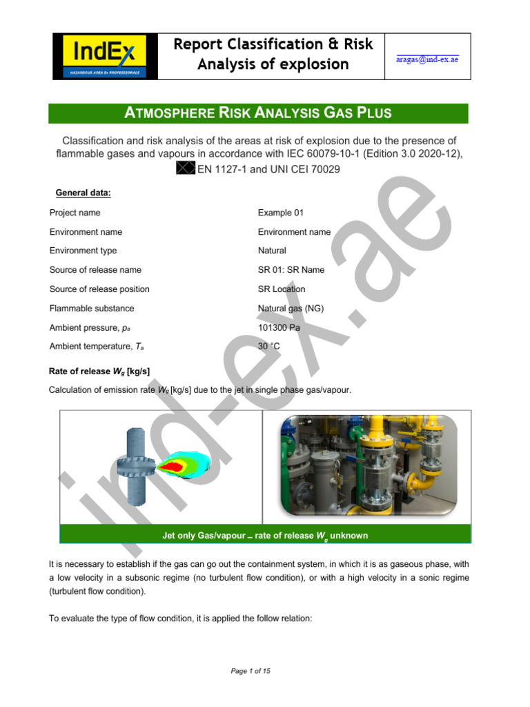 Ara Gas Plus Example | PDF | Gases | Pressure