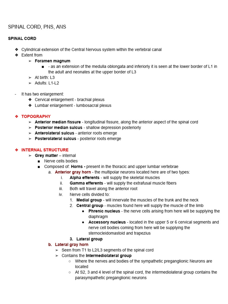 Sap - Spinal Cord, PNS, Ans | Download Free PDF | Spinal Cord ...