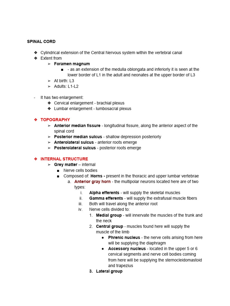 Sap - Spinal Cord, PNS, Ans | PDF | Spinal Cord | Vertebral Column