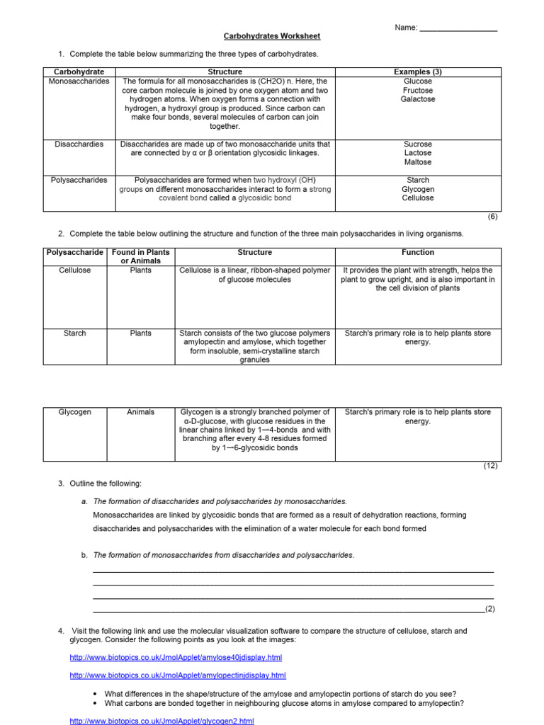 Carbohydrates Worksheet | PDF | Polysaccharide | Carbohydrates