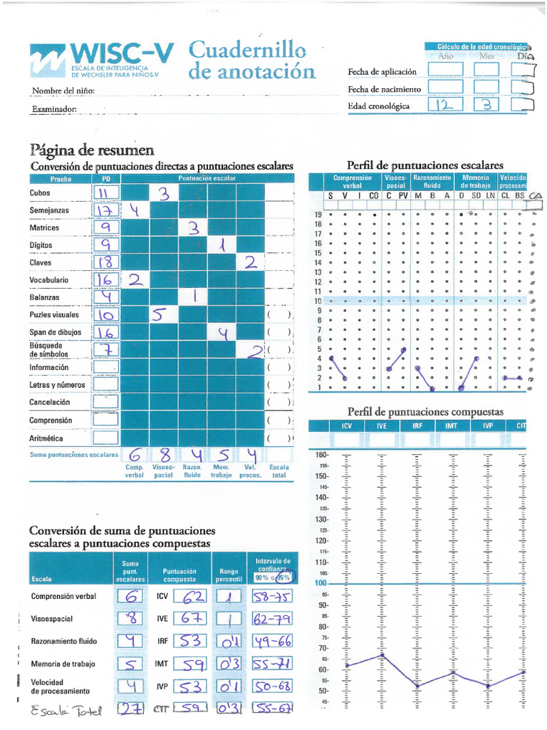 Resultados WISC-V Ejemplo | PDF
