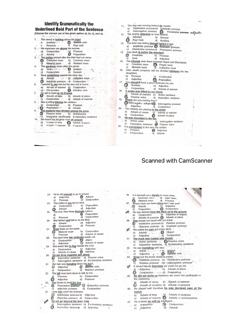 English Grammar 100 MCQ's | PDF