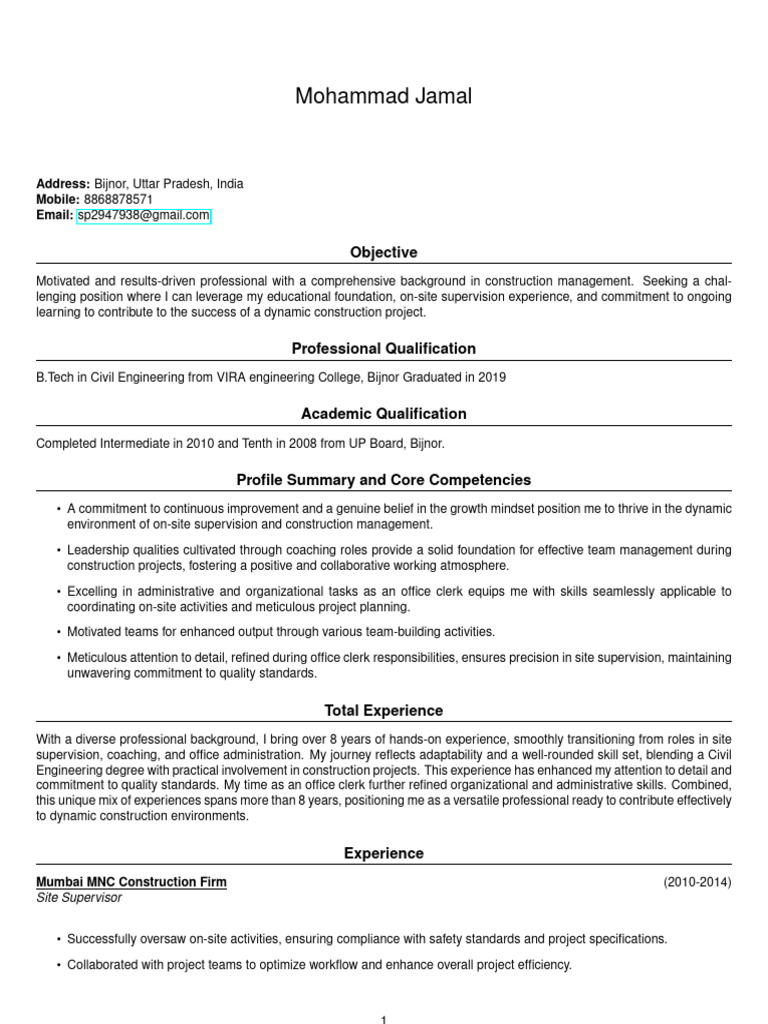 Jamal CV | PDF | Art