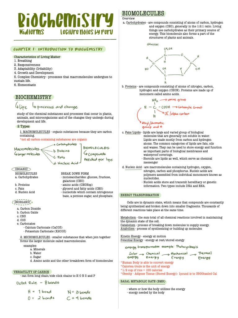 Biochem Lecture Notes Midterms | PDF