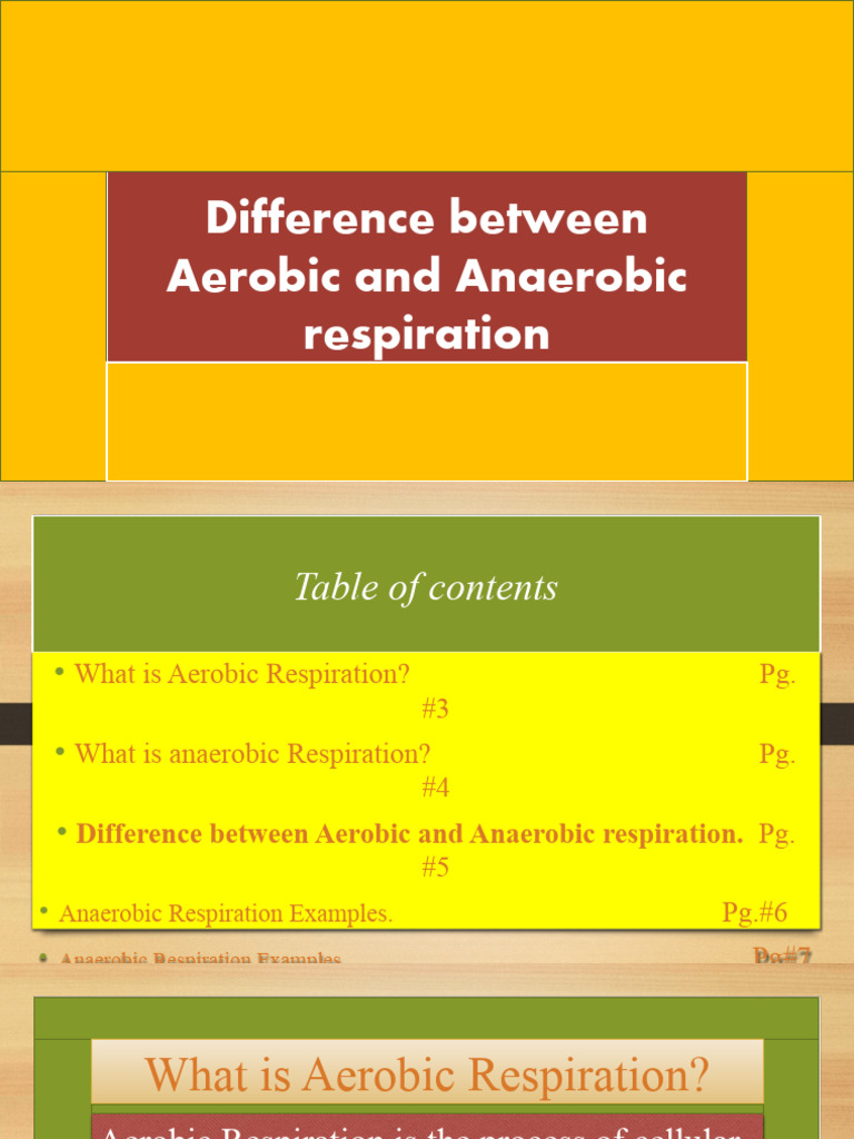 Aerobic vs Anaerobic Respiration Explained | PDF | Foreign Language ...