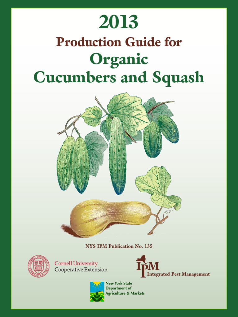 Organic Cucumbers | PDF | Organic Farming | Crop Rotation