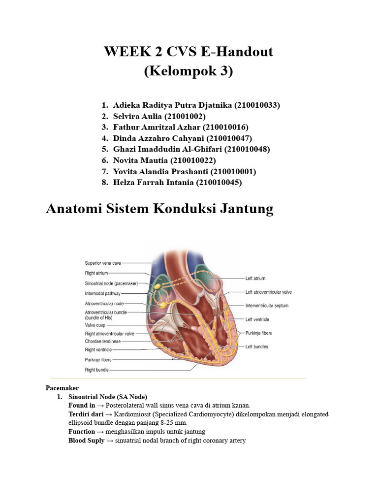 Kelompok 3 (Week 2 CVS) E-Handout | PDF