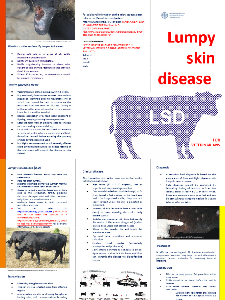 LSD Vets English | PDF | Causes Of Death | Public Health