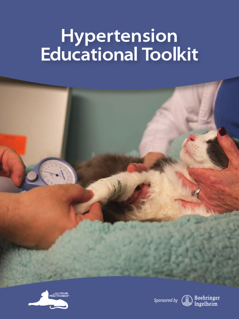 AAFP Hypertension Toolkit - Full | PDF | Hypertension | Blood Pressure