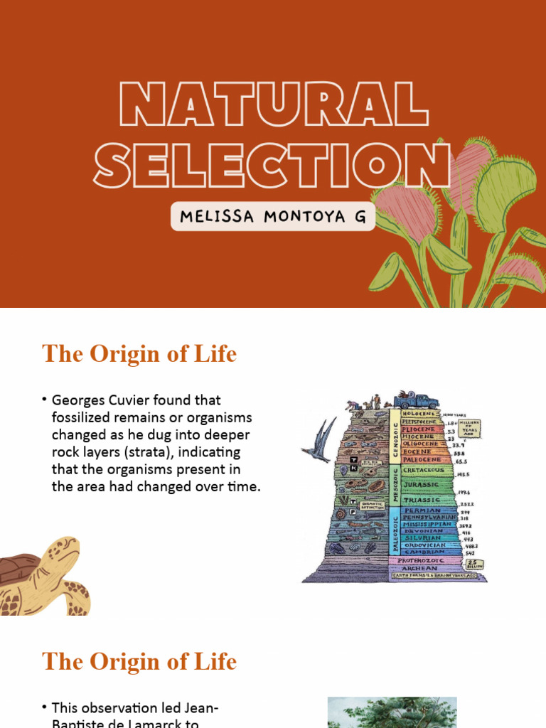 Natural Selection | PDF