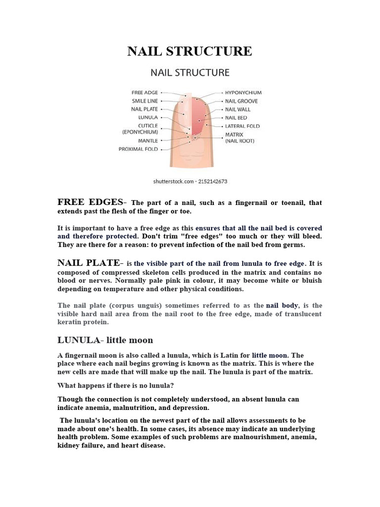 Nail Structure-10 | PDF