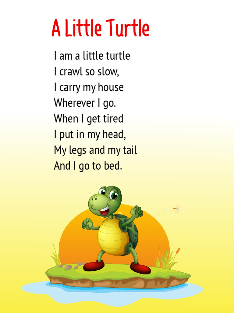 A Little Turtle Poem For Class 1 | PDF