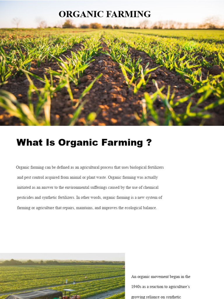Organic Farming | PDF