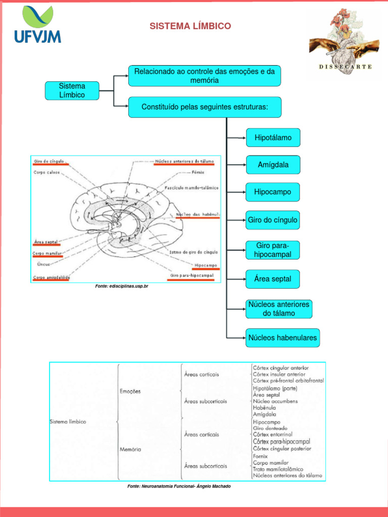 Estruturas e Funções do Sistema Límbico | PDF
