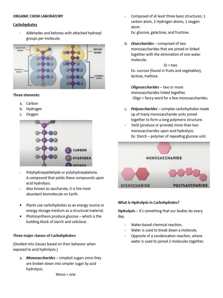 Carbohydrates, Lipids, Proteins | PDF | Carbohydrates | Hydrolysis