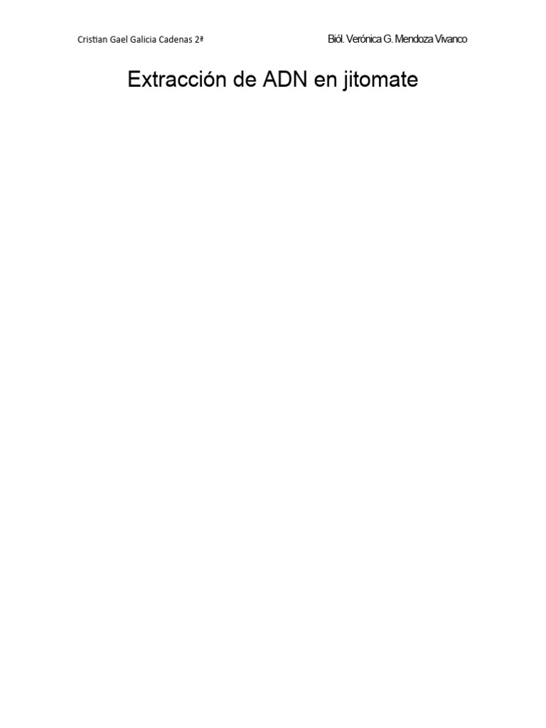 Extracción de ADN en Jitomate | PDF | Adn | Genética