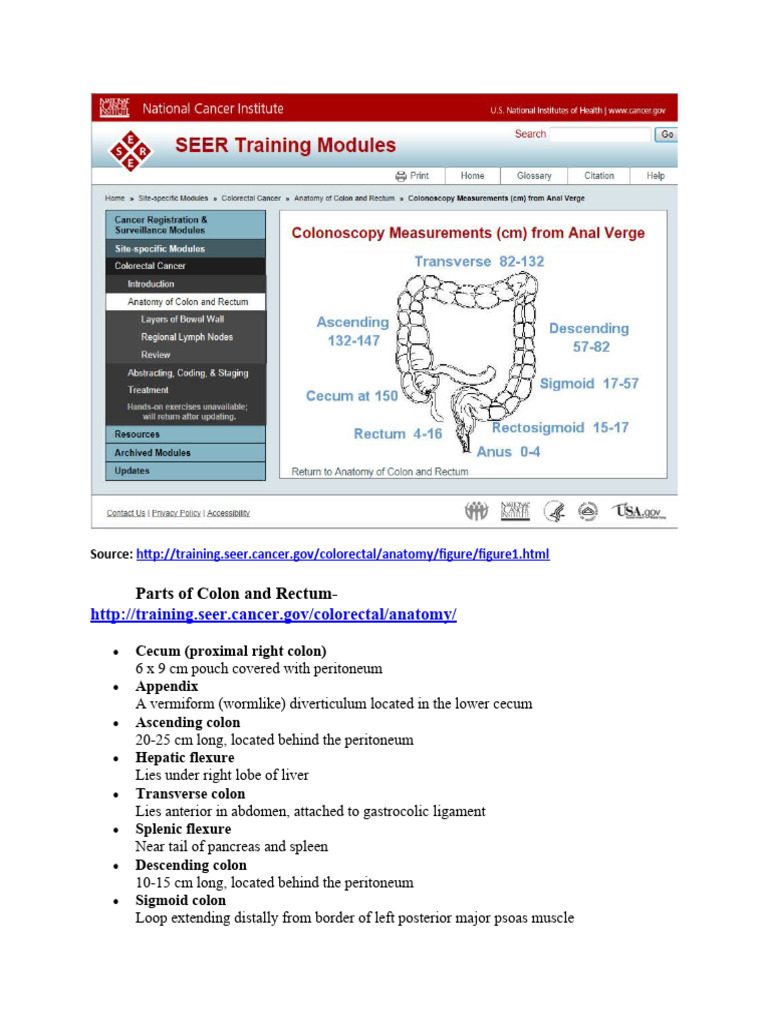CCPC13-47 - Att1 - Colon Anatomy - Length of Segments | Download Free ...