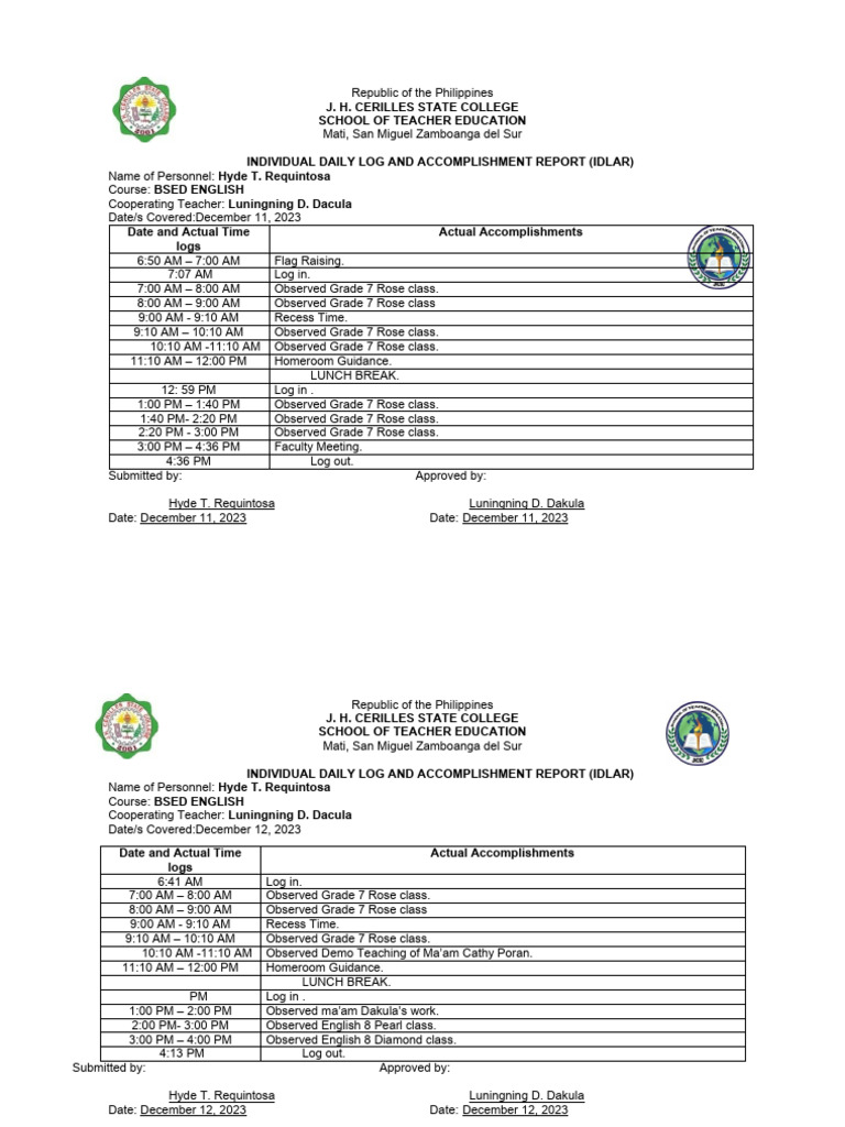 Daily Log & Accomplishment Report | PDF