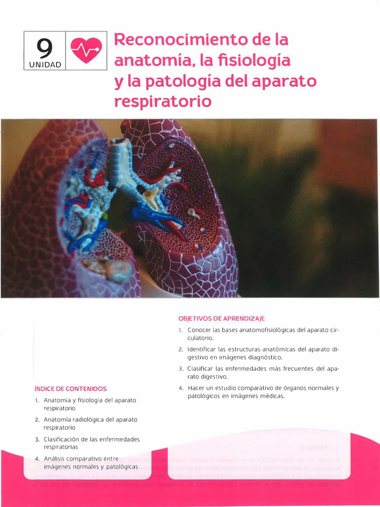 9.-Reconocimiento de La Anatomia, La Fisiologia y La Patologia Del Aparato Respiratorio | PDF ...