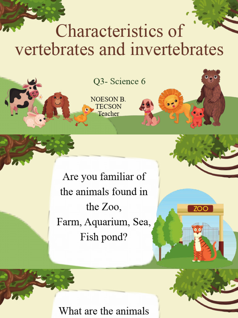 CO1 Science 6-Characteristics of Vertebrates & Invertebrates | PDF
