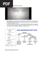 ATP Yield from Palmitic Acid Oxidation | PDF