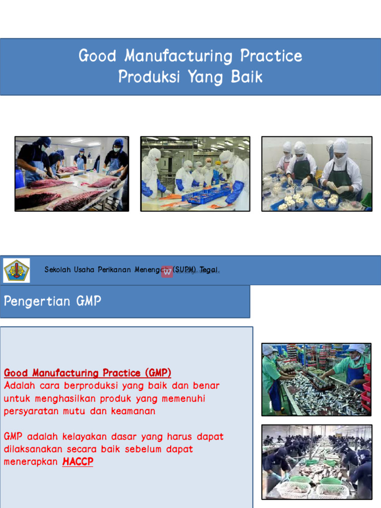 Ppt Gmp Pdf