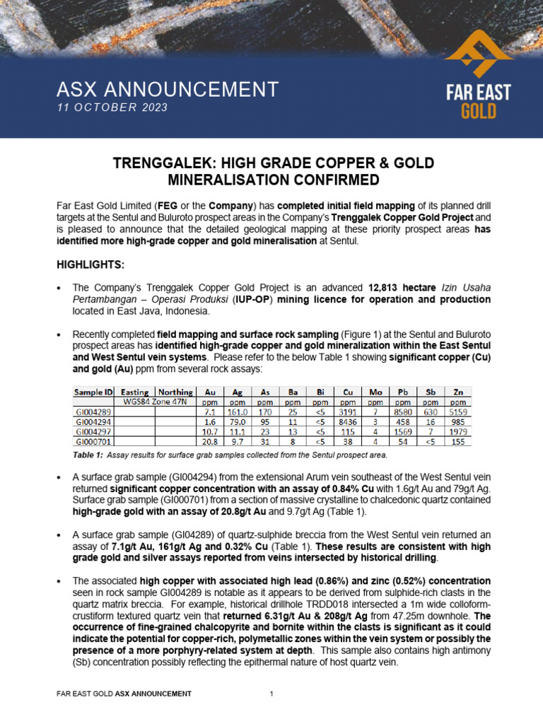 Trenggalek High-Grade Copper & Gold Update | PDF | Geology | Clastic Rock