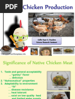 Different Types of Philippine Native Chicken | PDF | Chicken | Agriculture
