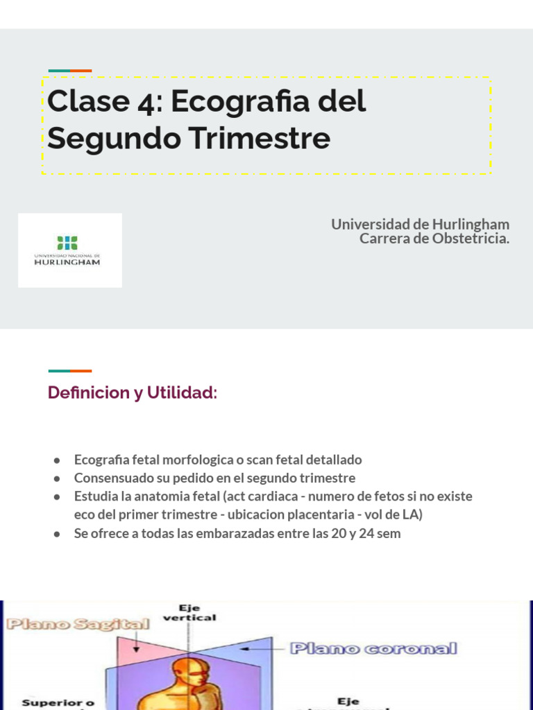 Clase 4 - Ecografia Del Segundo Trimestre | PDF | Feto | Placenta