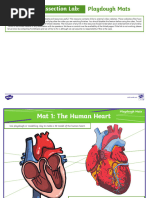 Heart Diagram Gcse Unlabelled Printable - Google Search | PDF