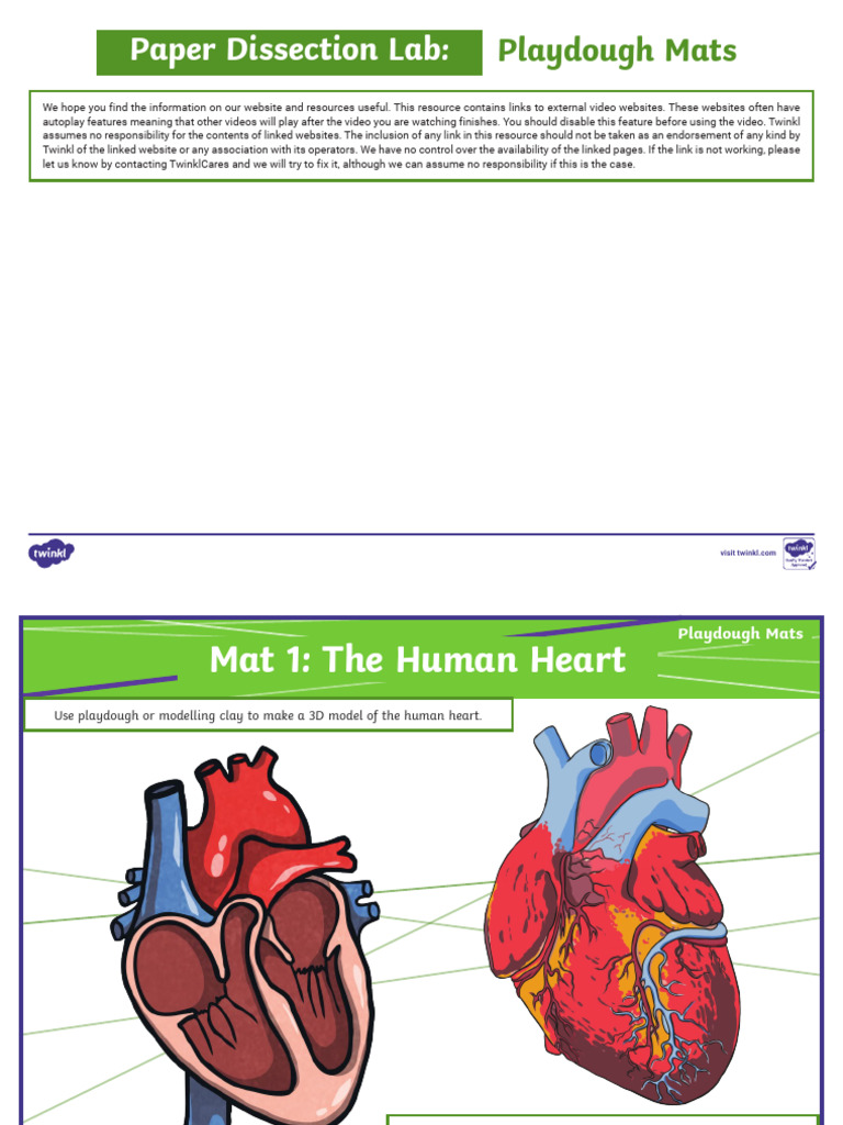 Paper Dissection Lab - Playdough Mats A4 Twinkle | PDF